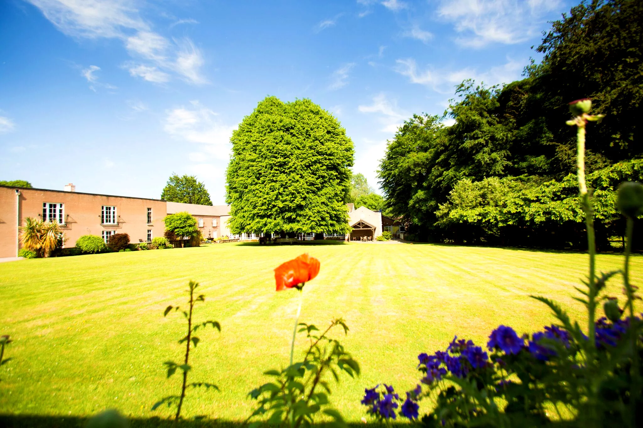 Gallery | 4* Hotels In Northern Ireland | Dunadry Hotel In Antrim