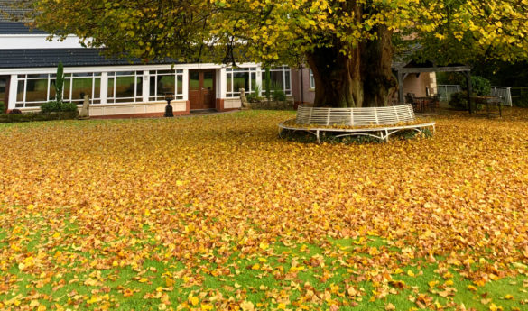 Home - Dunadry Hotel and Gardens