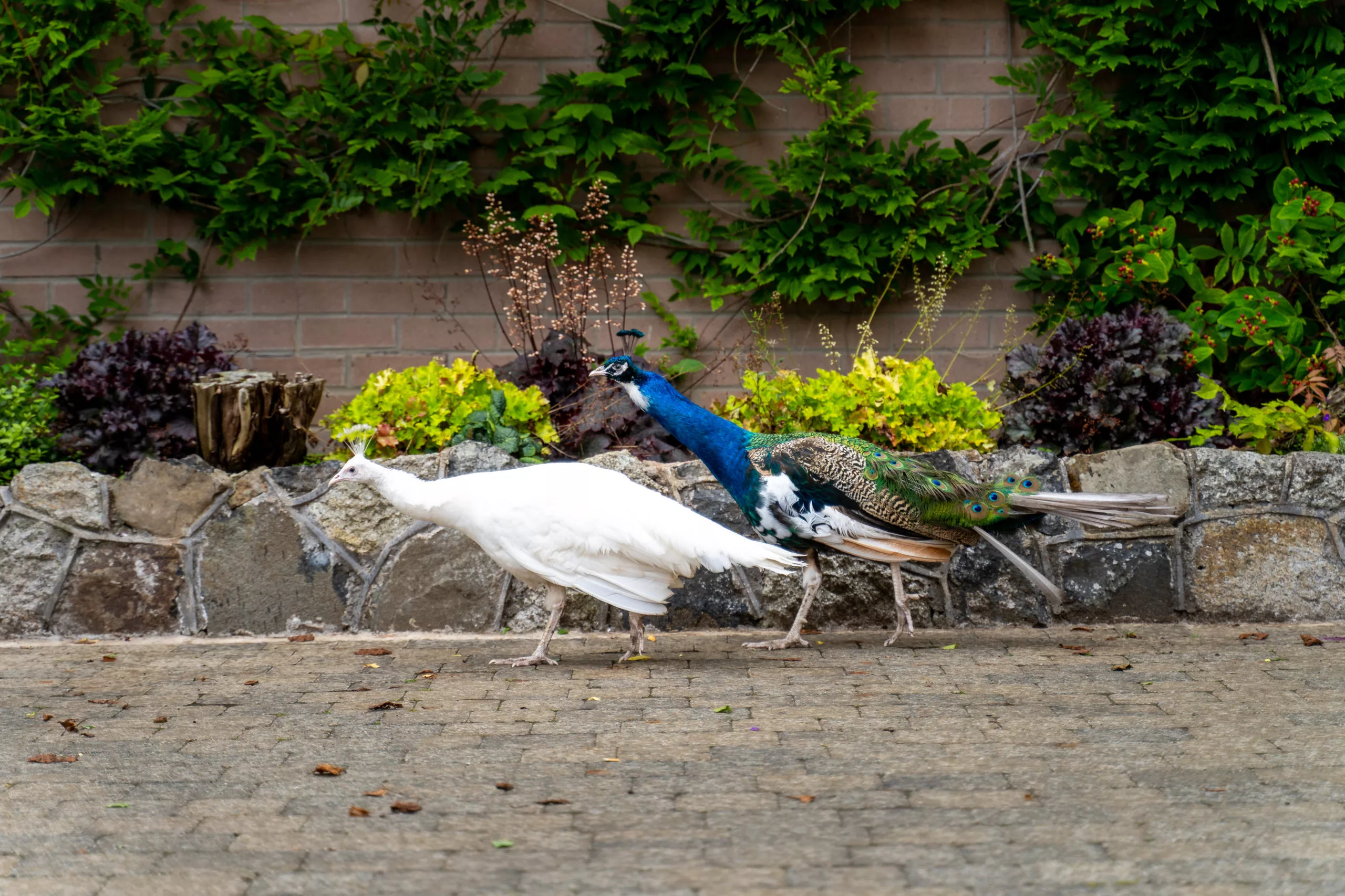 Gallery | 4* Hotels In Northern Ireland | Dunadry Hotel In Antrim