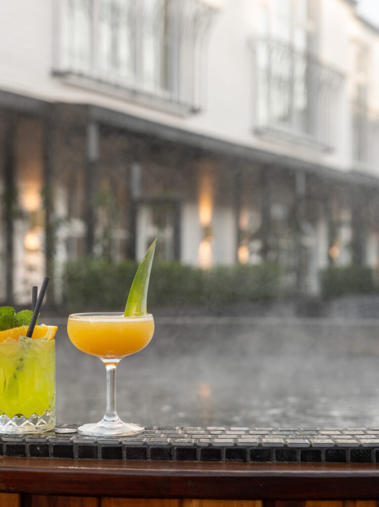 Dunadry Spa Garden | Spas In Antrim | The Dunadry Hotel & Gardens